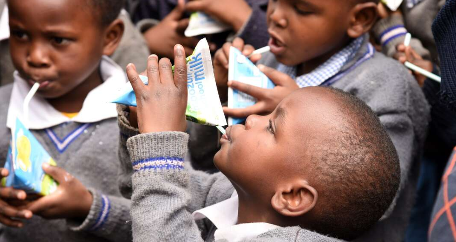 Analyzing School Milk Feeding Programs in Kenya - Global Dairy Platform