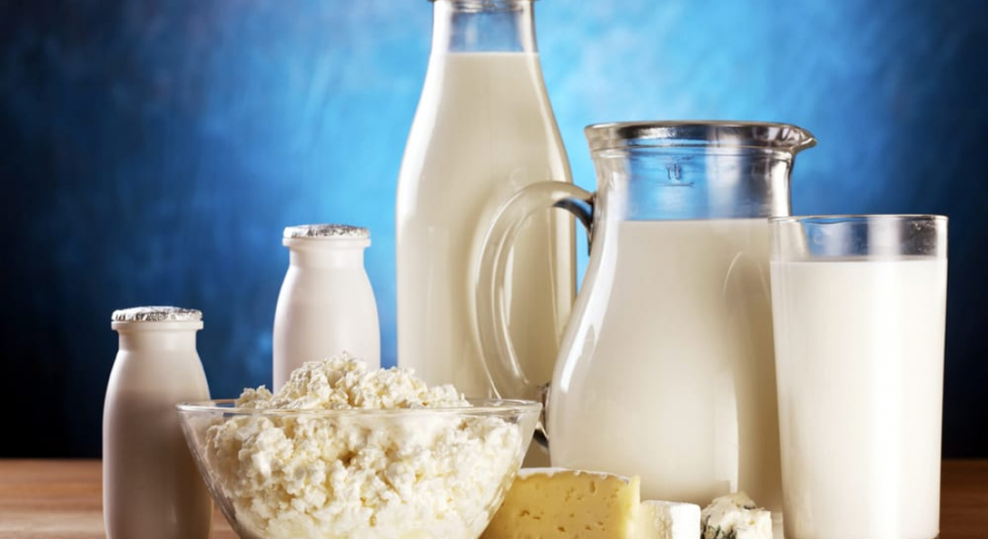 How the Dairy Sector Contributes to SDGs - Global Dairy Platform