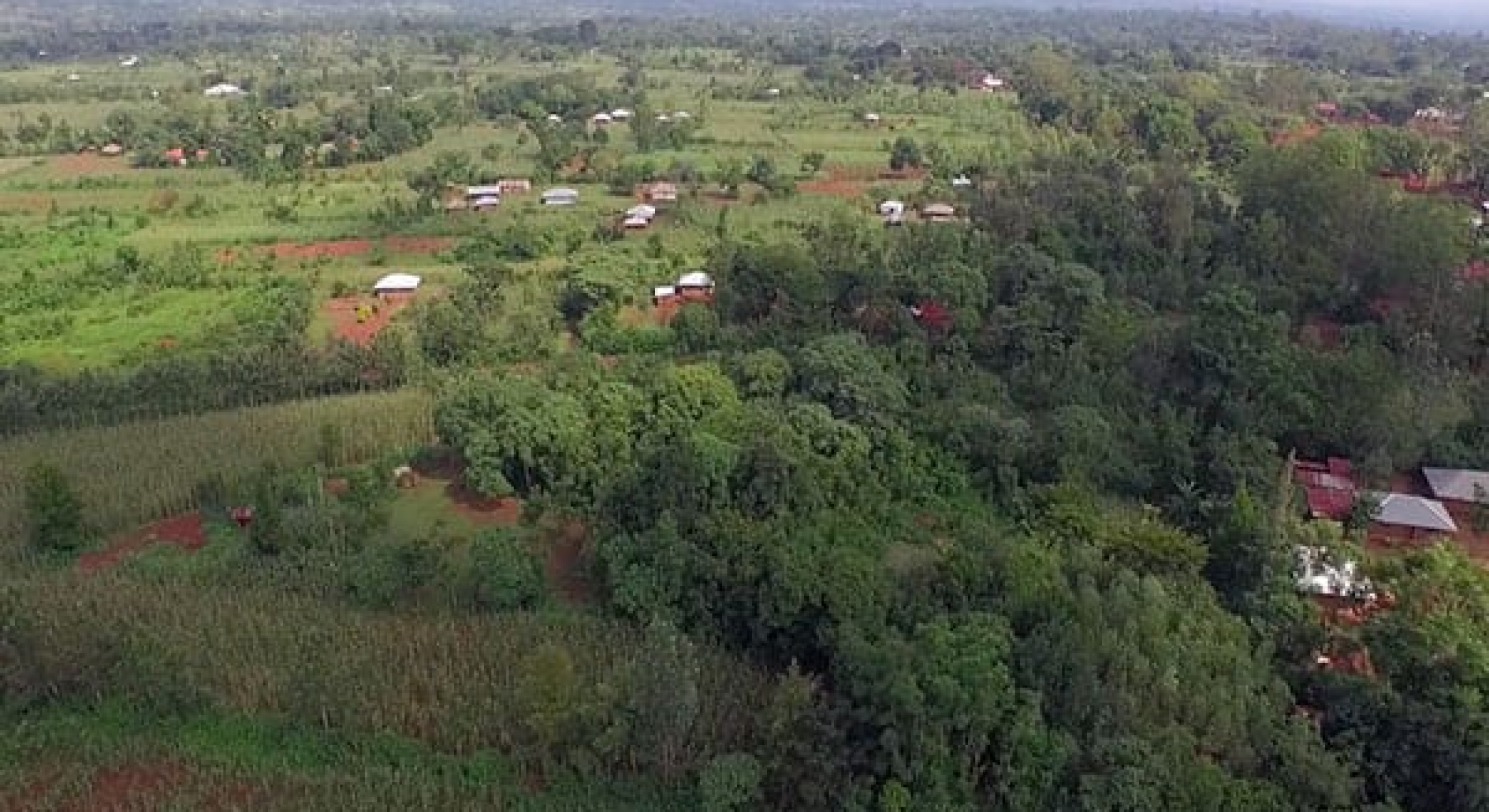 Kenya value chain - Global Dairy Platform