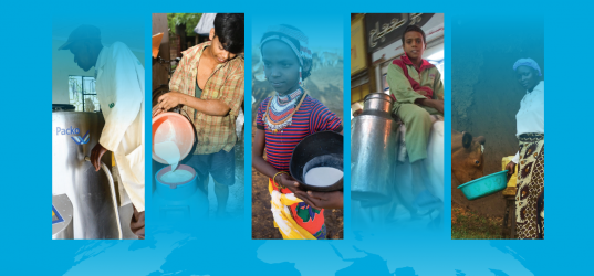 Development in the Dairy Industry - Global Dairy Platform